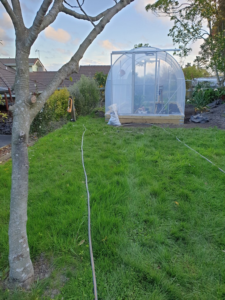 Morrifield Tunnelhouses – Pedleys Nursery